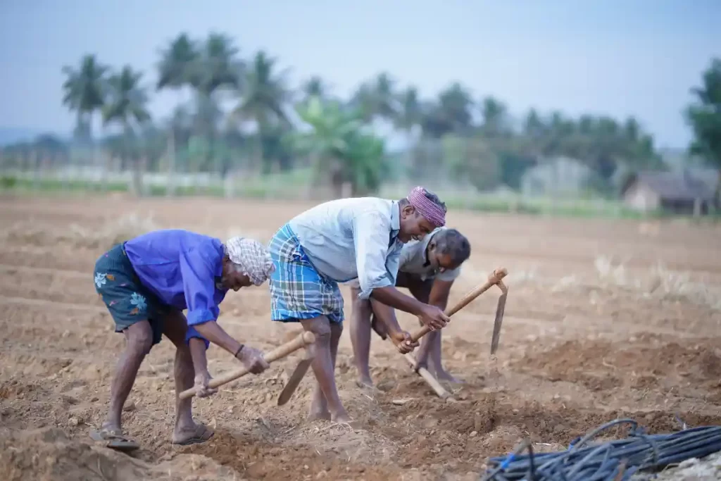 Sustainable Agriculture for Thalavady's Prosperity